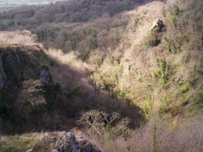 Ebbor Gorge